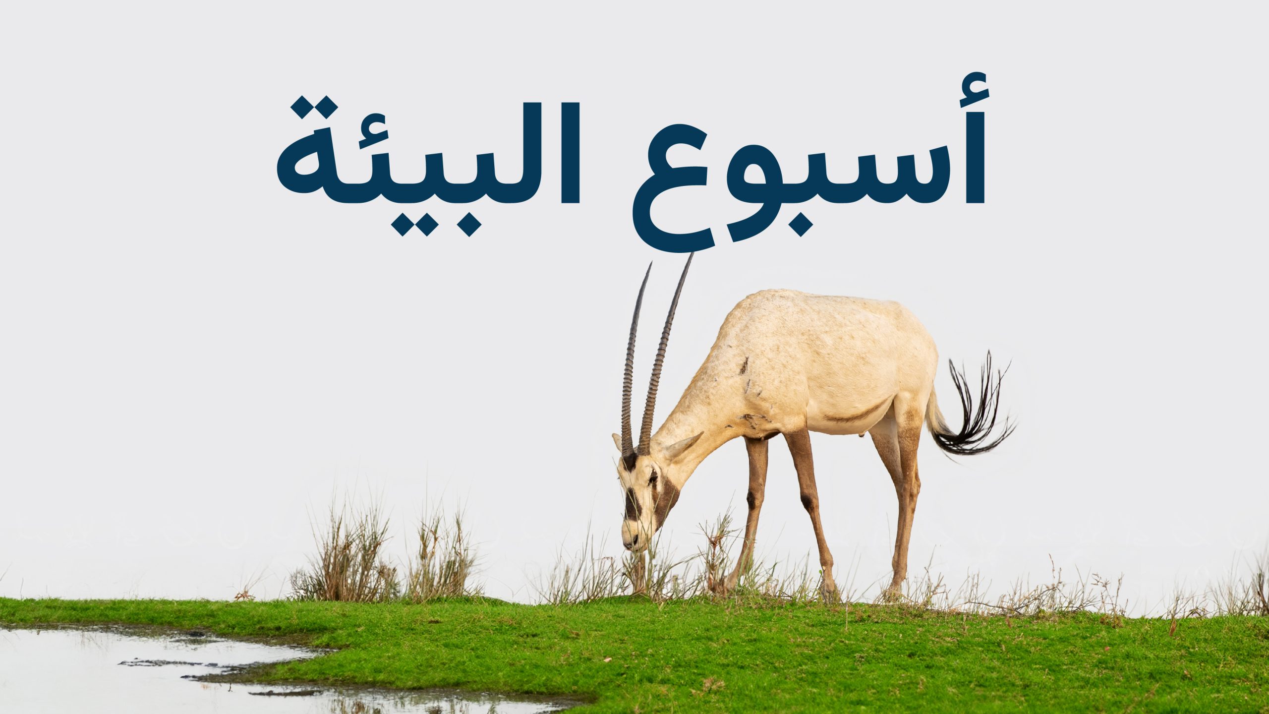 Saudi Environment Week – KSA